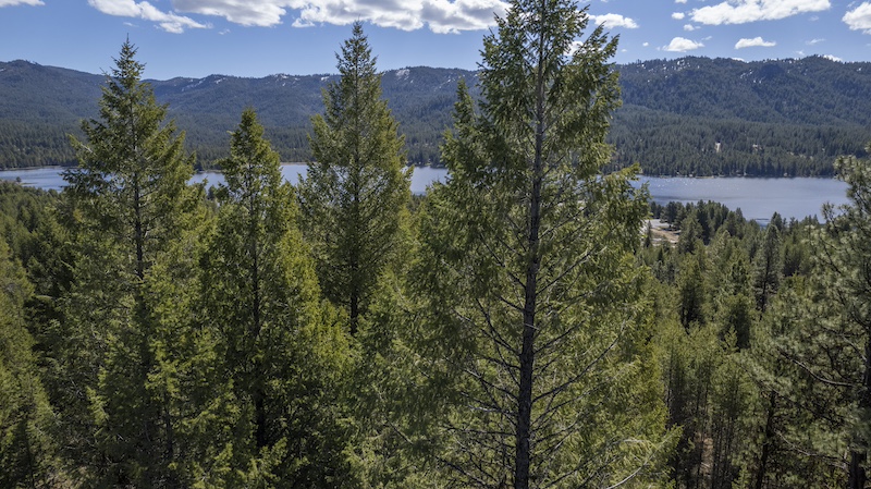 Land Stewardship | DF Development