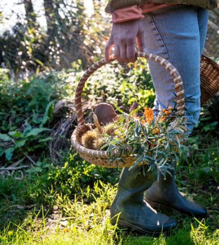 Hunting lease and more | DF Development